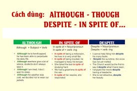 Phân biệt in ѕpite of – despite – although 2024 - Ngoại ngữ